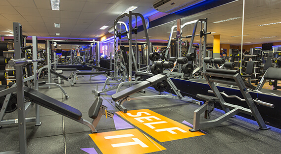 Selfit Academias: conheça a holding que está na fila para IPO